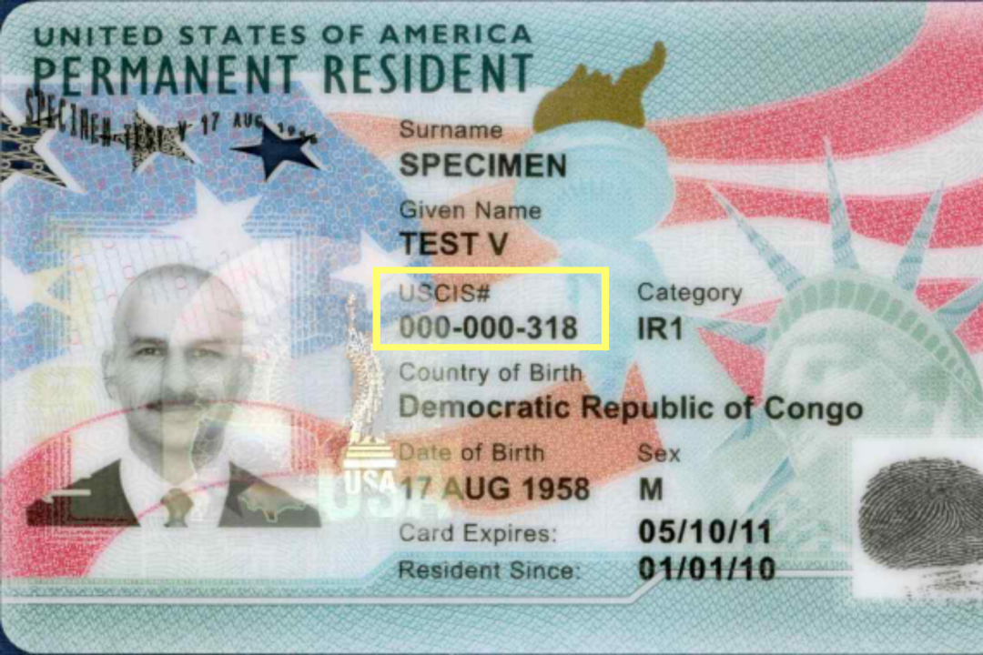 Alien Registration Number - Where To Find It? [2021] | SelfLawyer